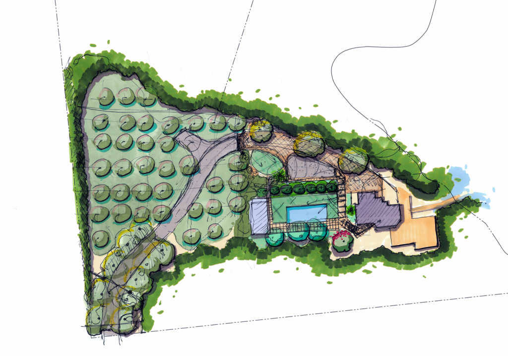 Orchard Site Plan - Michael A. Gilkey, Inc.