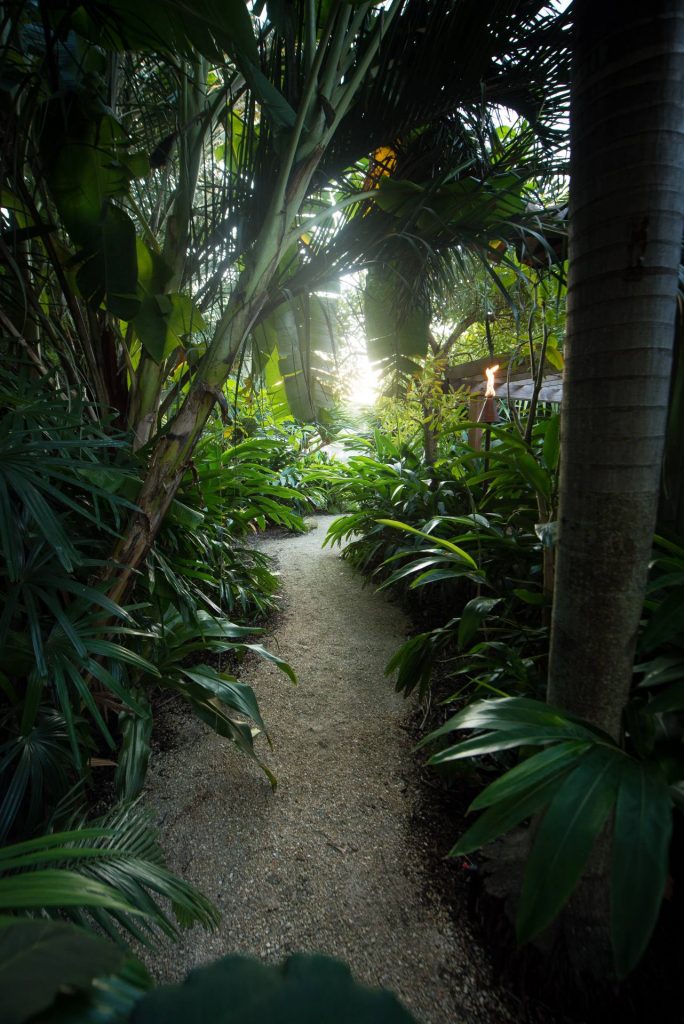 Crushed Shell Path - Michael A. Gilkey, Inc.